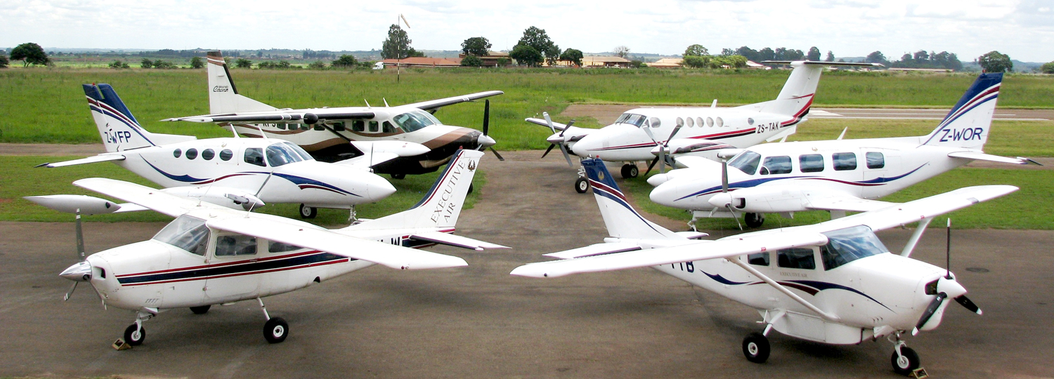Executive Air - Wild Zambezi