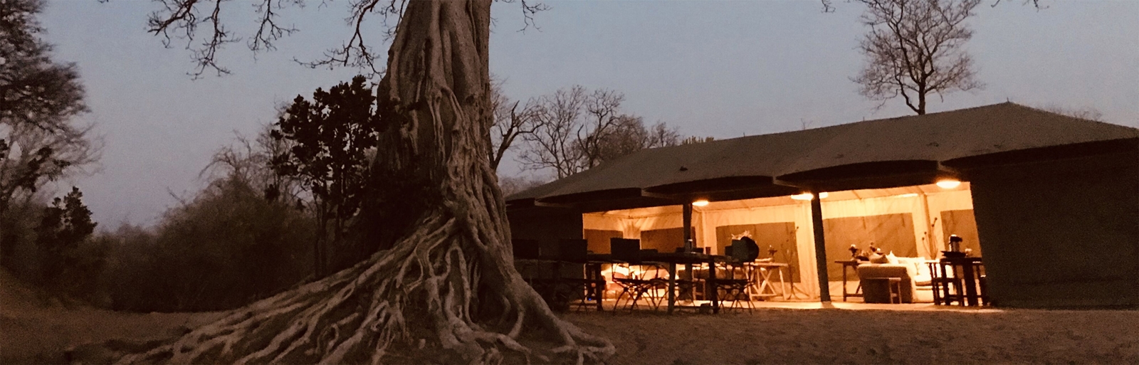 Ingwe Camp, Machaba Safaris - Wild Zambezi