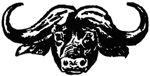 RIFA Conservation Education Camp - Wild Zambezi